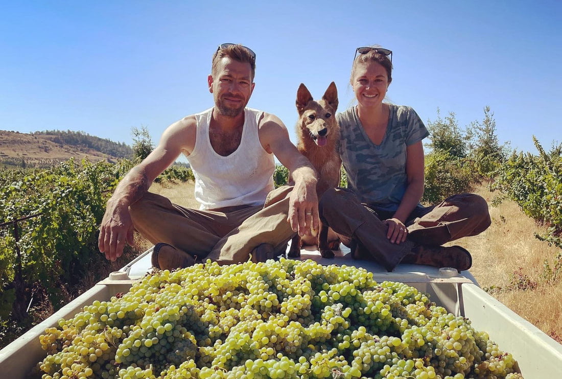 Frenchtown Farms: working in harmony with nature. - Indigo Wine ...